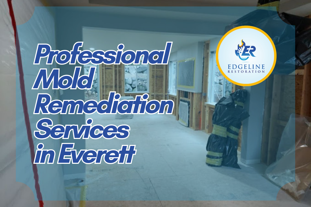 Mold Removal & Remediation Bothell | Edgeline Restoration